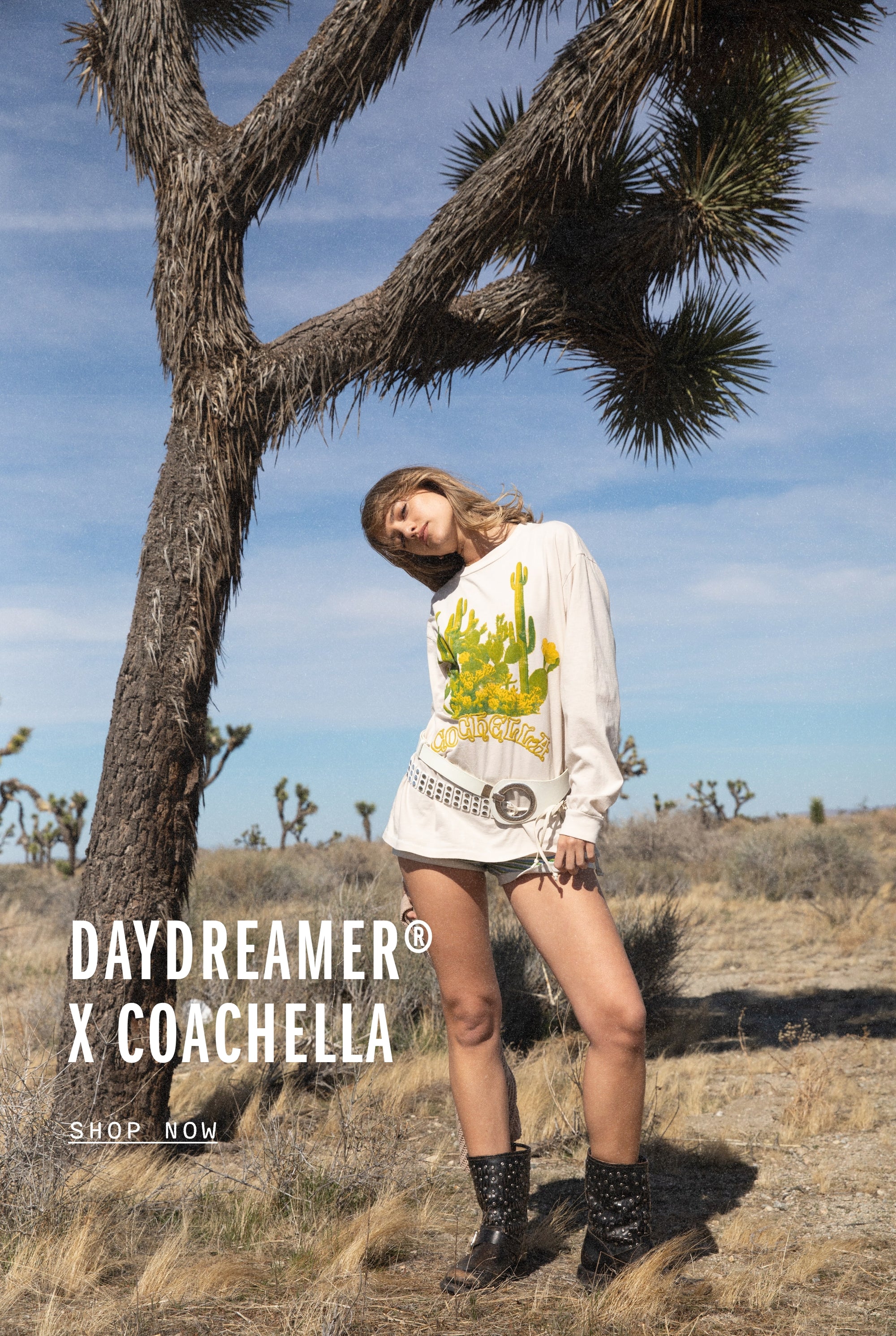 Daydreamer LA | 100% Exclusive Graphic Tees Made in Los Angeles.